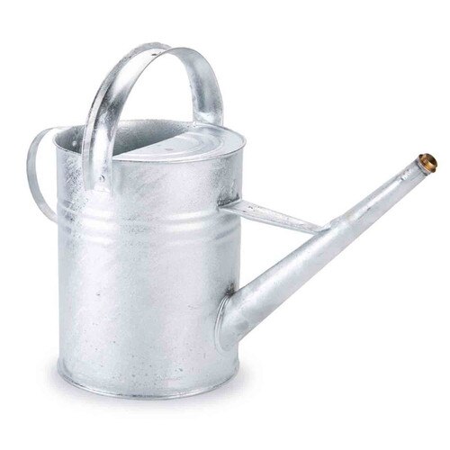19.715 Galvanised Watering Can - 2 Gallon - Standard Spout c/w Rose